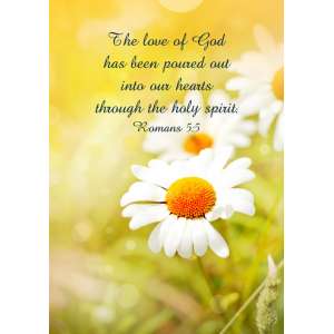 Jehovah's Witness Supplies for Ministry - Service Store