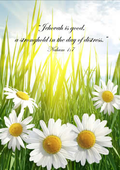 GREETINGS CARD - GET WELL - Jehovah's Witness Theocratic Ministry ...