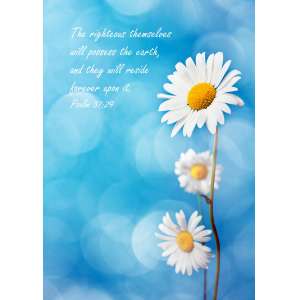 Jehovah's Witness Supplies for Ministry - Service Store