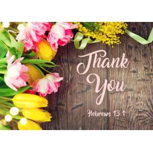 Jehovah's Witness Supplies for Ministry - Service Store